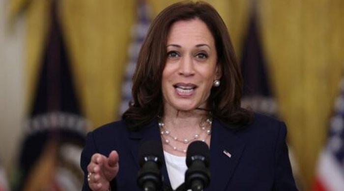 Harris aims to bring the joy at Democratic convention
