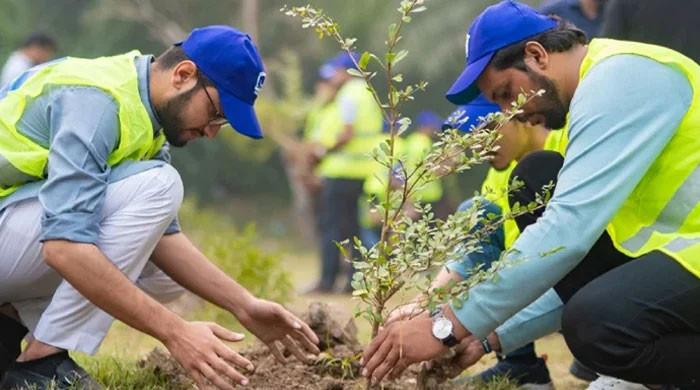 Tree plantation drive inaugurated