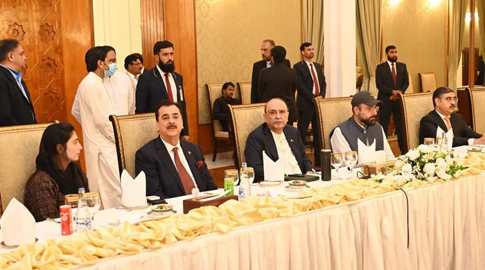 President hosts MPs of PPPP, ANP, PMLQ, IPP