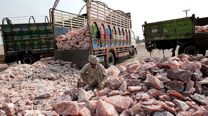 Salt industry opposes export ban