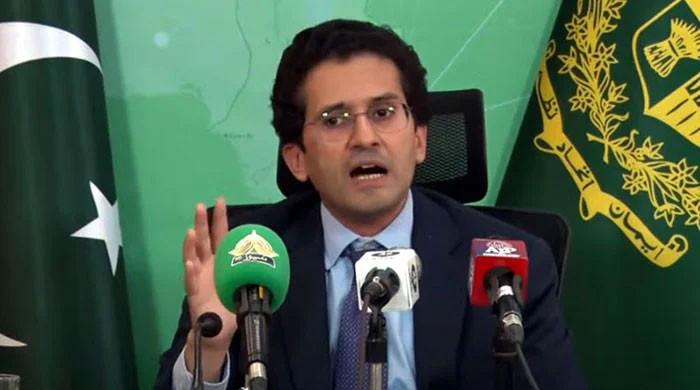 Turkish airline has shown interest in PIA purchase: minister