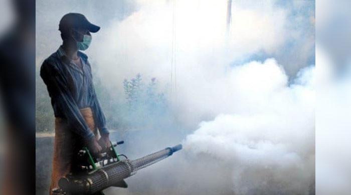 RCB to start anti-dengue spray on emergency basis