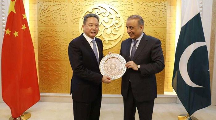 Aleem Khan discusses 4 mega projects with Chinese transport minister