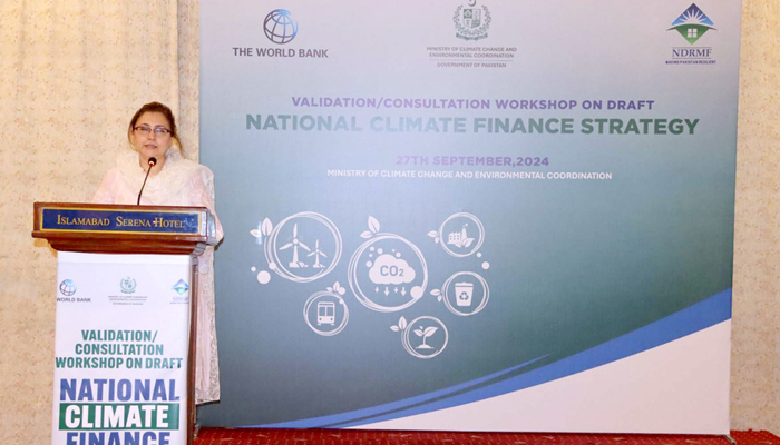 Consultation workshop on national climate finance strategy held