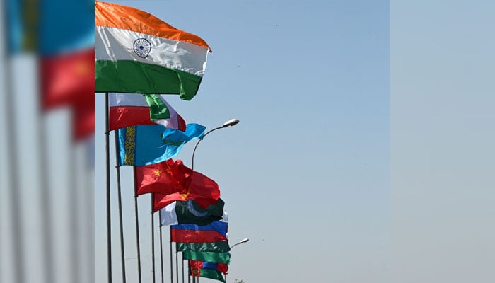 The role of observer states in SCO