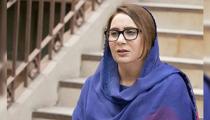 Musarrat Cheema gets bail