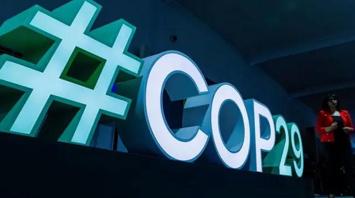 Cop29 Climate Talks Grapple With Trillion Dollar Task