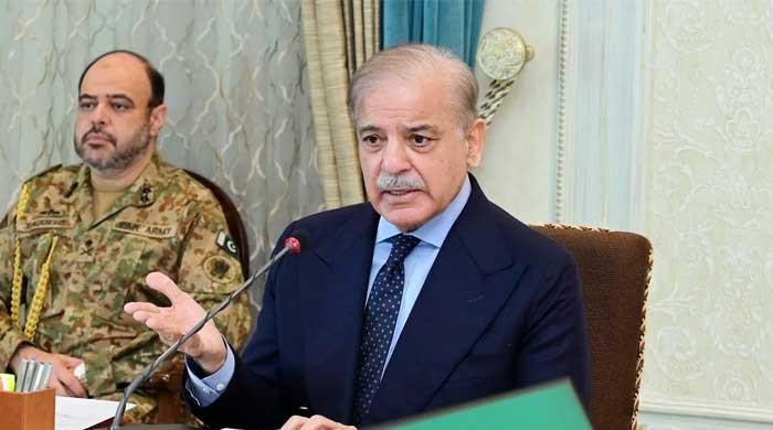 PM forms panel to crack down on anti-state propaganda