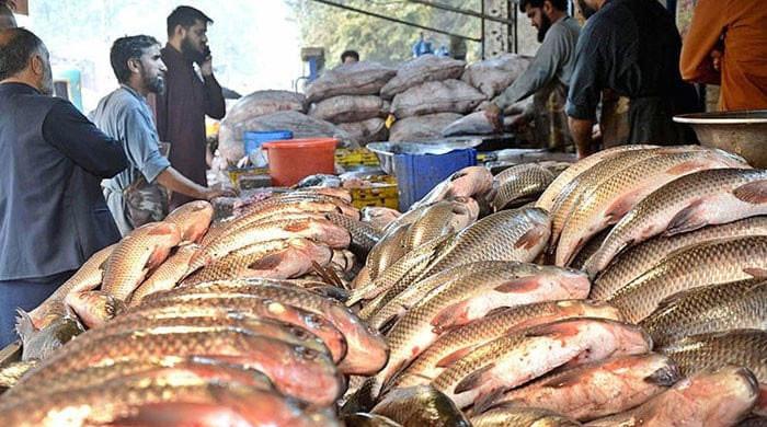 12 shops sealed in action against illegal fish market