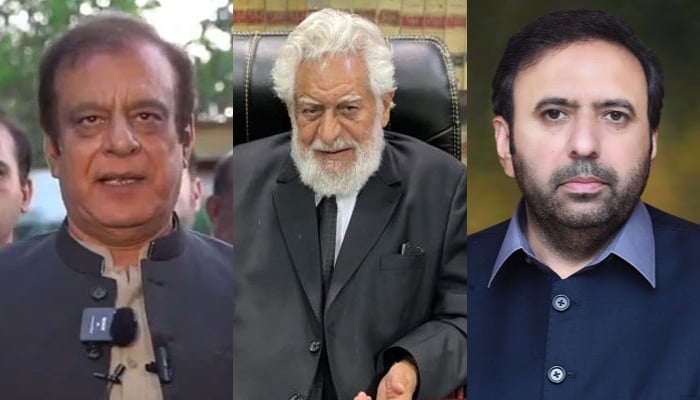 PHC grants protective bail to several PTI leaders