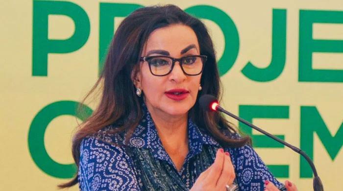 Sherry Rehman calls COP29’s $300bn pledge a ‘band-aid solution’