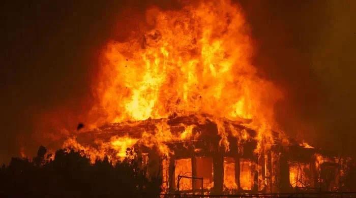 25 buffaloes burnt alive in cattle shed fire