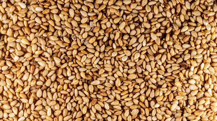 Pakistan becomes 3rd largest sesame exporter