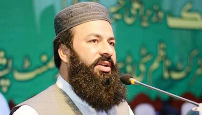 Focal person for mega projects appointed