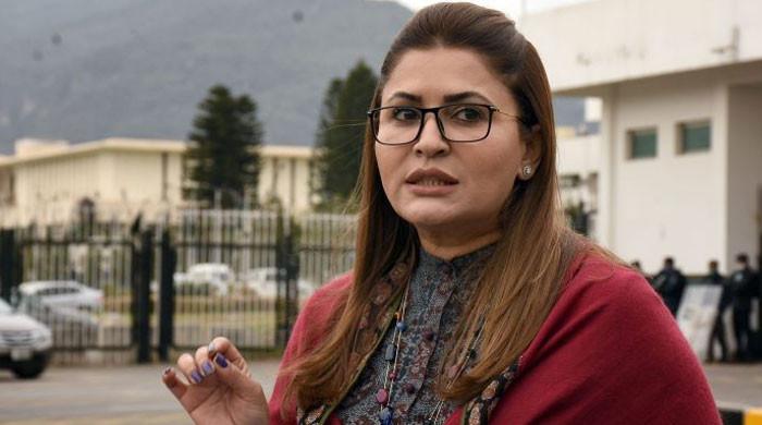 Federal govt will collapse if PPP withdraws support: Marri