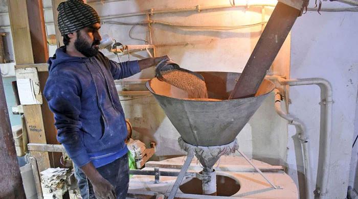 Indian flour mills struggle as wheat prices surge to record high