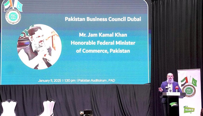 Talks with UAE under way for Pakistanis’ visa facilities: Jam Kamal