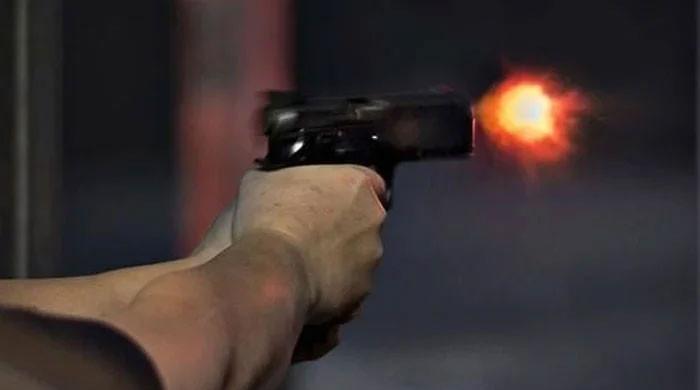 Dolphin Force officers allegedly shoot pedestrian