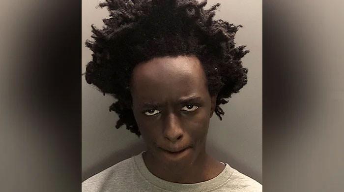 UK child stabbing spree killer gets life in custody