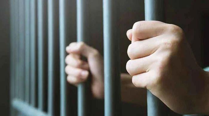 Four female thieves arrested