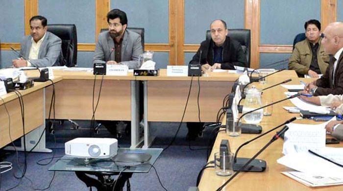 Senate panel calls for early finalisation of prisoner transfer agreements