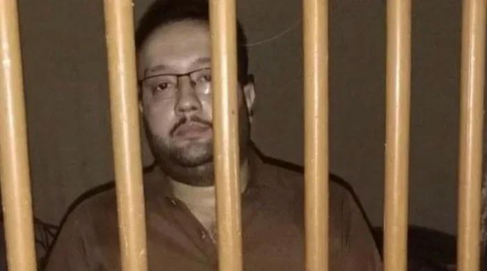Mother of murdered maid ‘reaches settlement’ with Pir Asad