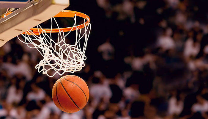 Bulls bag basketball crown