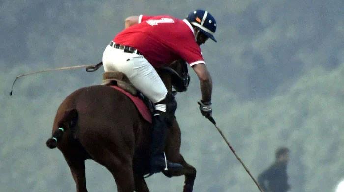 Din clinch Diamond Paints Polo Cup opener