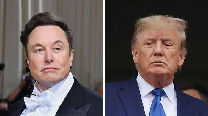 Trump outlines Musk’s role as enforcer-in-chief