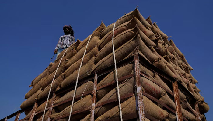 India allows exports of broken rice to cut stockpile