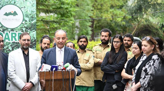 Asian black bear finds new home at IWMB centre