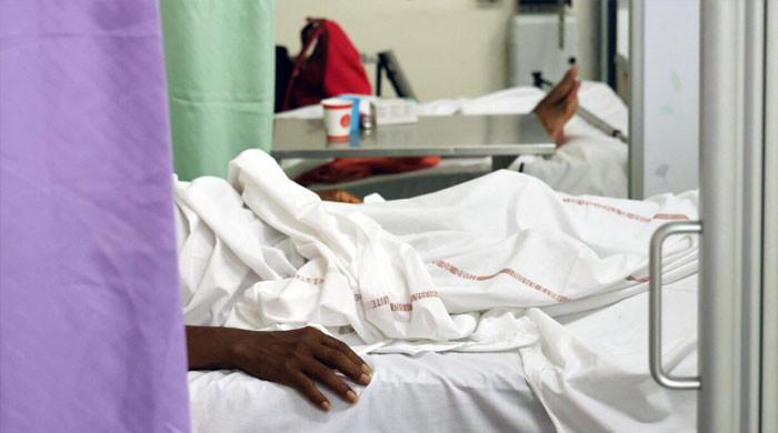 Reunion hospital boss urges reinforcements amid chikungunya outbreak