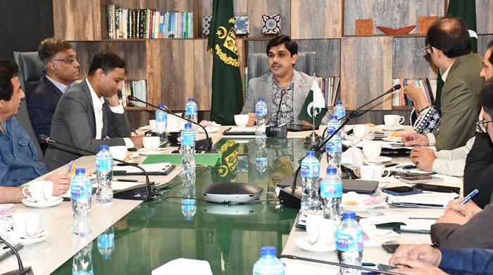 Final road map for revival of Pakistan’s film, cinema industry to be ...