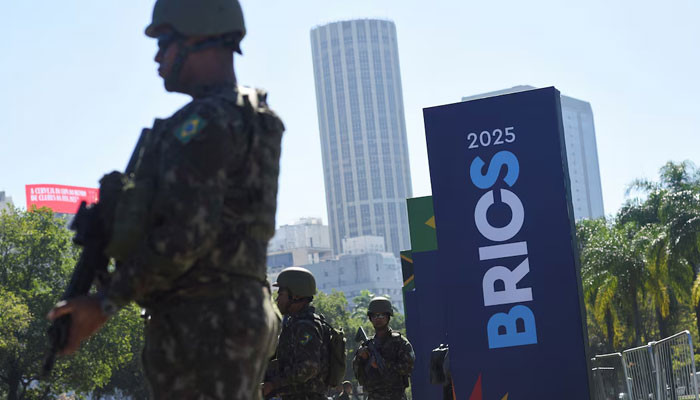 What does Brics promise?