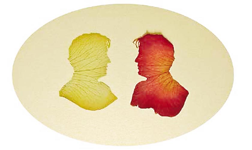 The art of ceramics & drawing