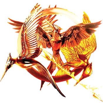 For the love of The Hunger Games