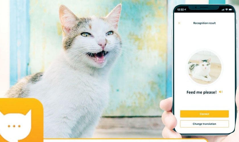 MeowTalk: an app that translates cat’s miaow