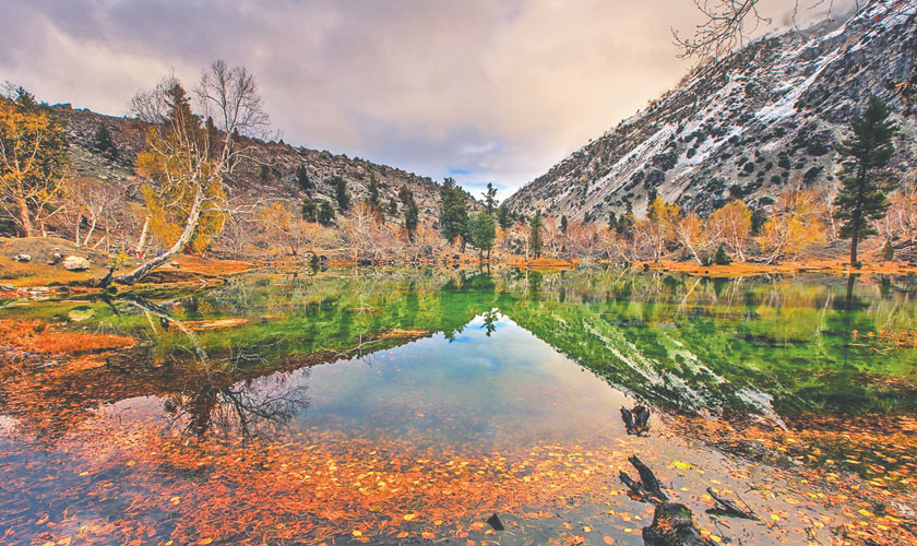 Generation of restoration