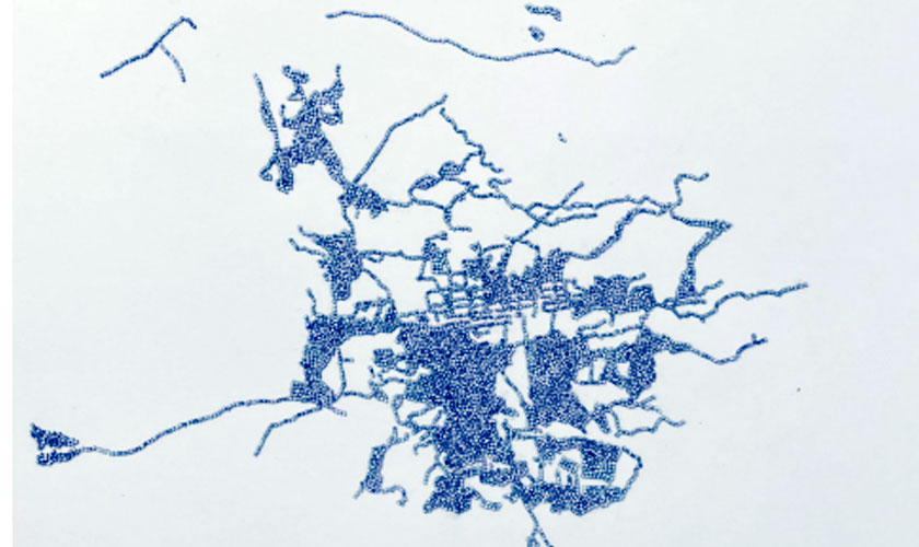 Self Motif – exploring self through miniature art