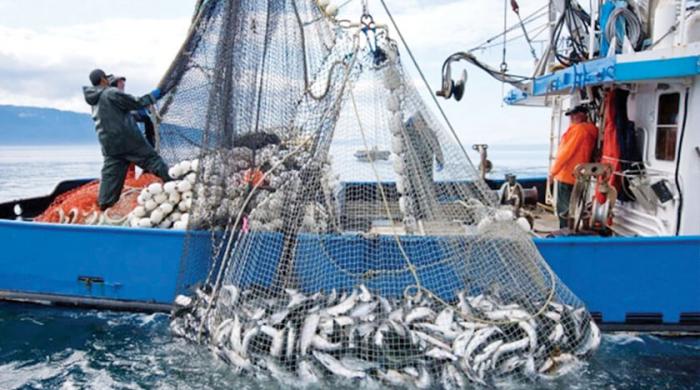 how solar boats can help fishing – Green Reporter