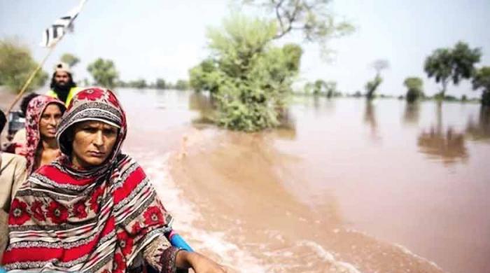 Baku to Belem: roadmap for climate finance