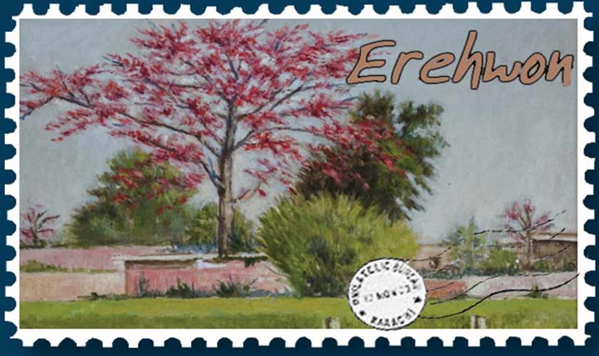 March and April are the months of Lahore’s very own Simul, or Sumbhal ...