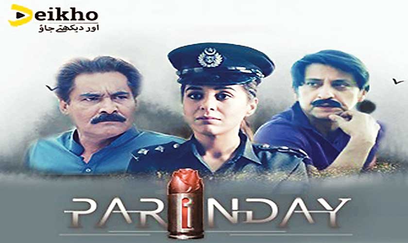 ‘Deikho’ offers original Pakistani content online | Instep | thenews.com.pk