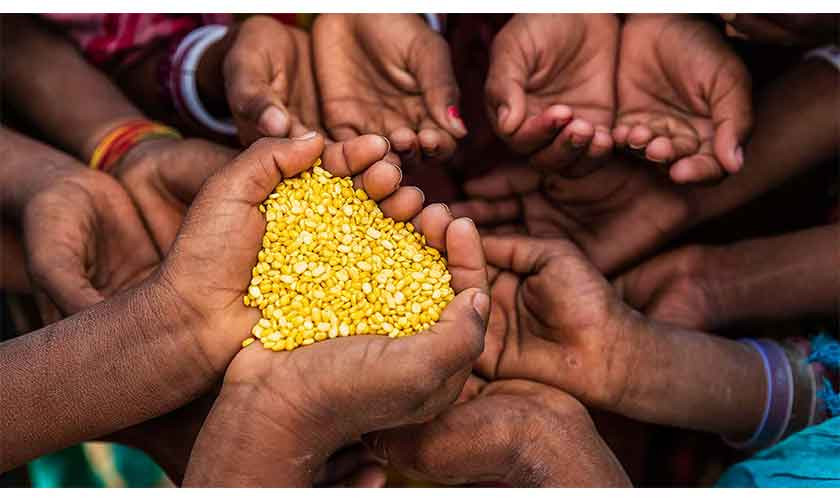 Food insecurity on the rise | Political Economy | thenews.com.pk