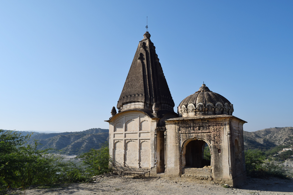 Into the wilderness | thenews.com.pk