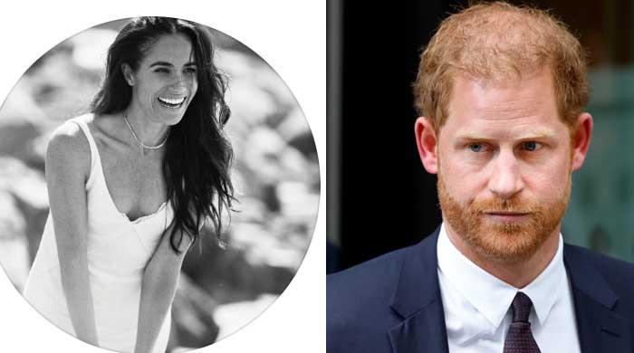 Meghan Markle confirms 'professional separation' from Prince Harry