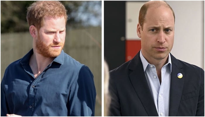 What will make Prince William finally forgive Harry? Answer comes to light